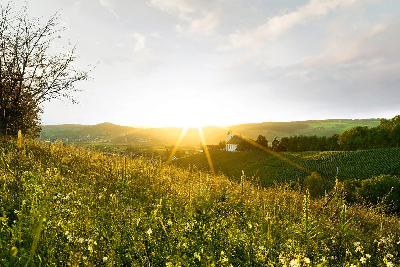 Schaffhauser Kantonalbank – Ihre Bank in der Region Schaffhausen